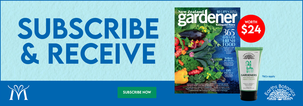 Mags4Gifts | Magazine And Newspaper Subscriptions