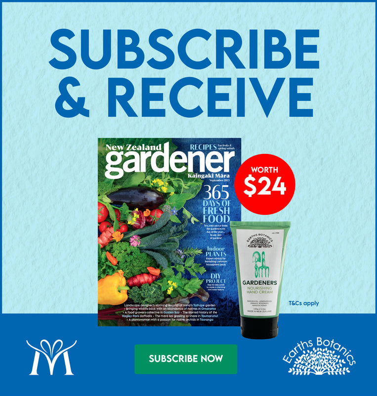 Mags4Gifts | Magazine And Newspaper Subscriptions