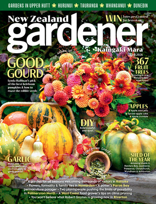 Most Popular Magazines | Top-Rated Subscriptions for Every Interest