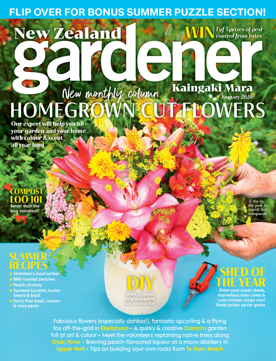 Most Popular Magazines | Top-Rated Subscriptions for Every Interest