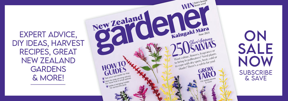 Mags4Gifts | Magazine And Newspaper Subscriptions